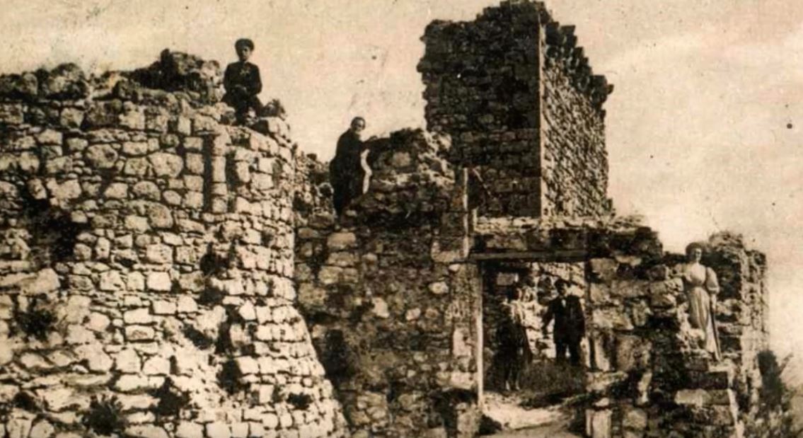 Tolfa (N/A, 2020) - GreenAtlas